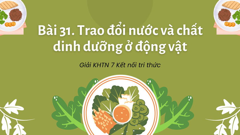 Giải Khtn 7 Bài 31 Kết Nối Tri Thức Ngắn Gọn Giải Khoa Học Tự Nhiên