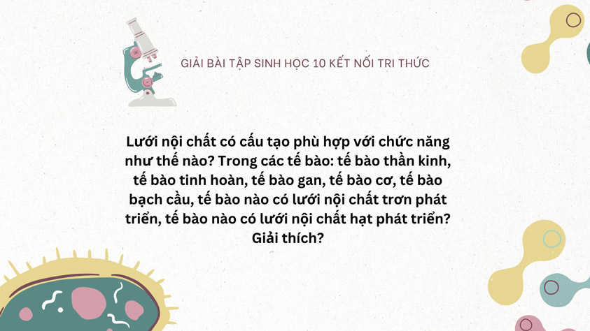 Lưới nội chất có cấu tạo phù hợp với chức năng như thế nào?