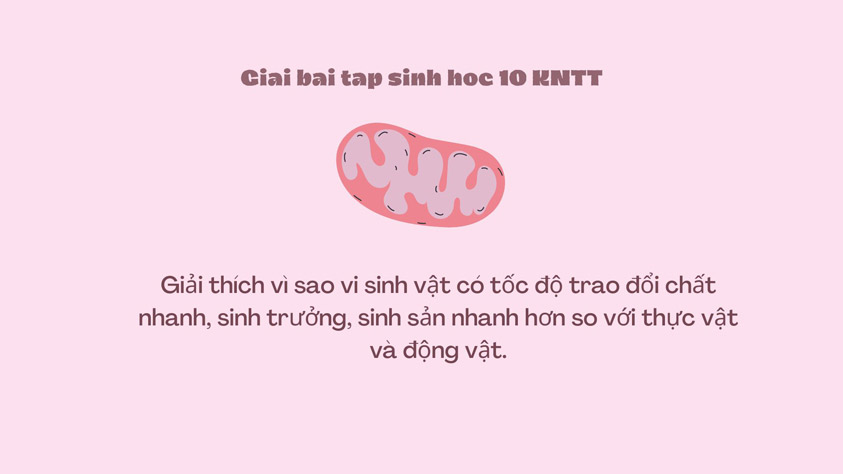 Giải thích vì sao vi sinh vật có tốc độ trao đổi chất nhanh, sinh