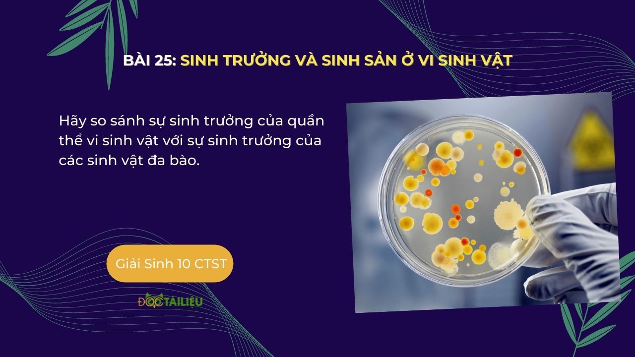 So sánh sự sinh trưởng của quần thể vi sinh vật với sự sinh trưởng