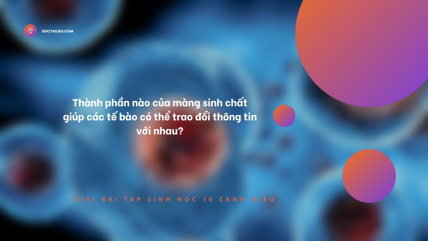 Thành phần nào của màng sinh chất giúp các tế bào có thể trao